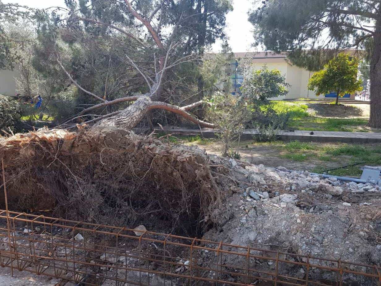 Δήθεν «κατά λάθος» έγινε ακόμα ένα περιβαλλοντικό έγκλημα | Κίνημα ...