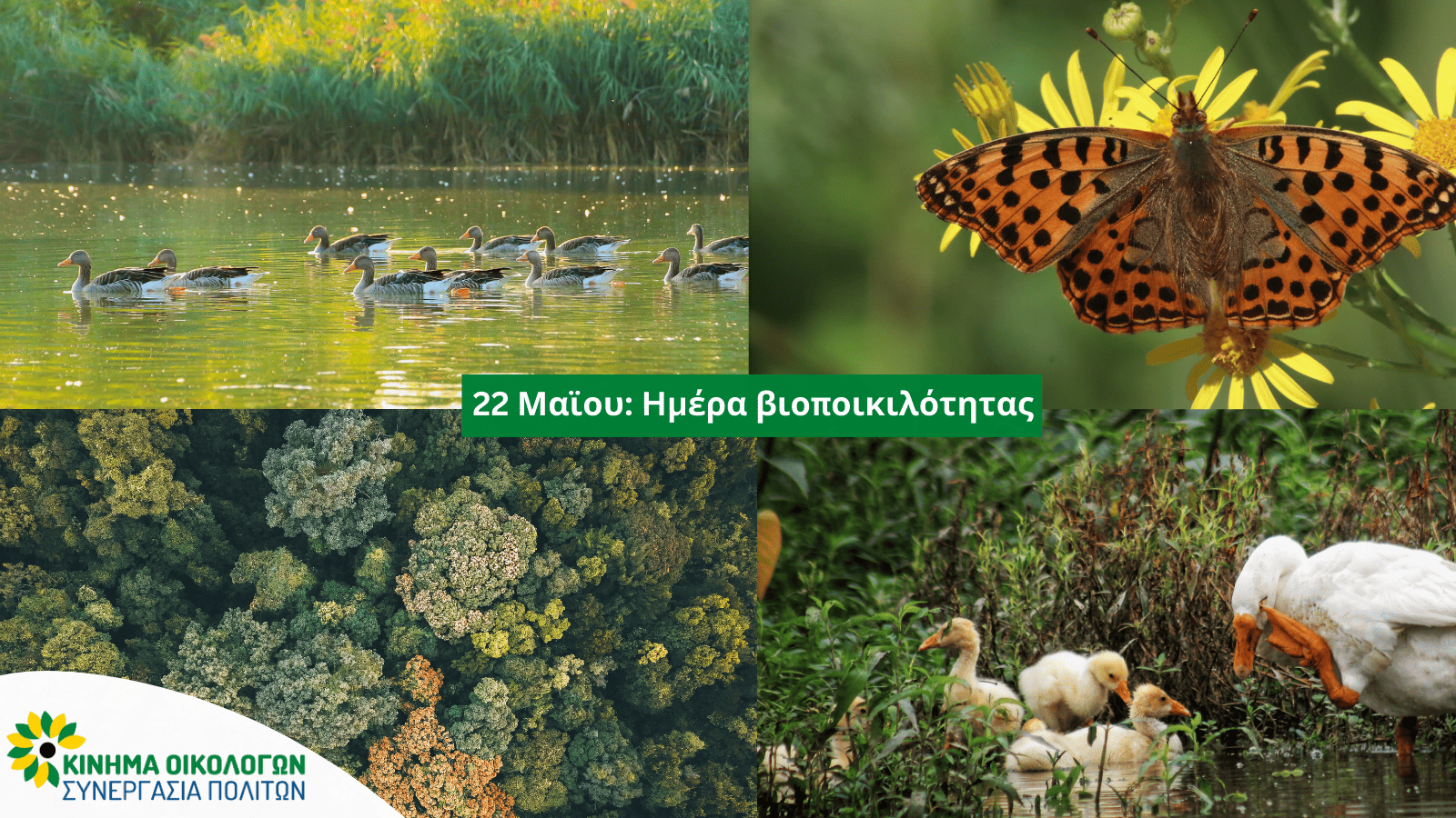 22 Μαΐου: Παγκόσμια ημέρα βιοποικιλότητας | Κίνημα Οικολόγων ...